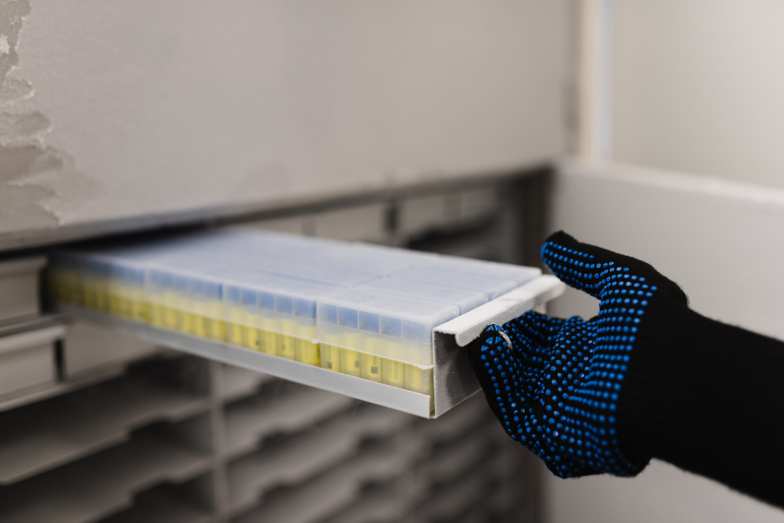 Batches • BiosistoChart User Guide