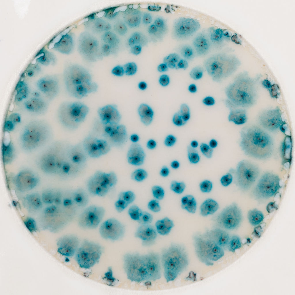Reference Material for Petrifilm Rapid Aerobic Count Plate (PFRAC ...